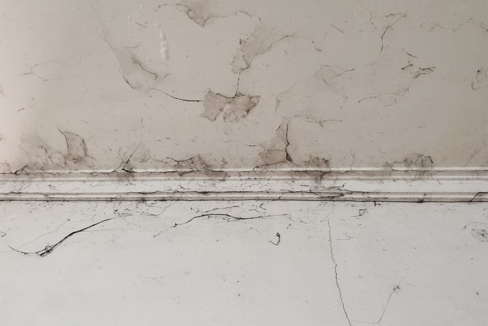 These Ceiling Cleaning Tools Tackle Hard-to-Reach Areas – Intelligent ...